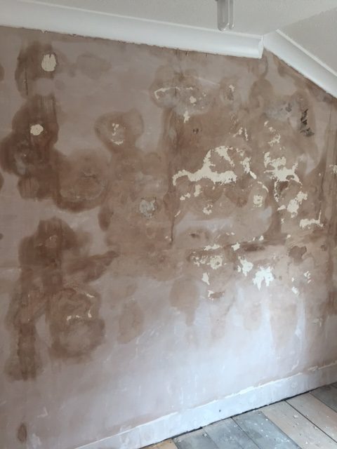 Damp Survey & Treatment - Jet Property Group